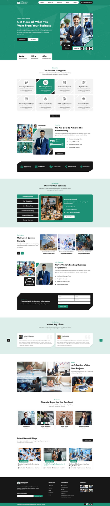 Flex Pro WordPress Theme – Flex Theme